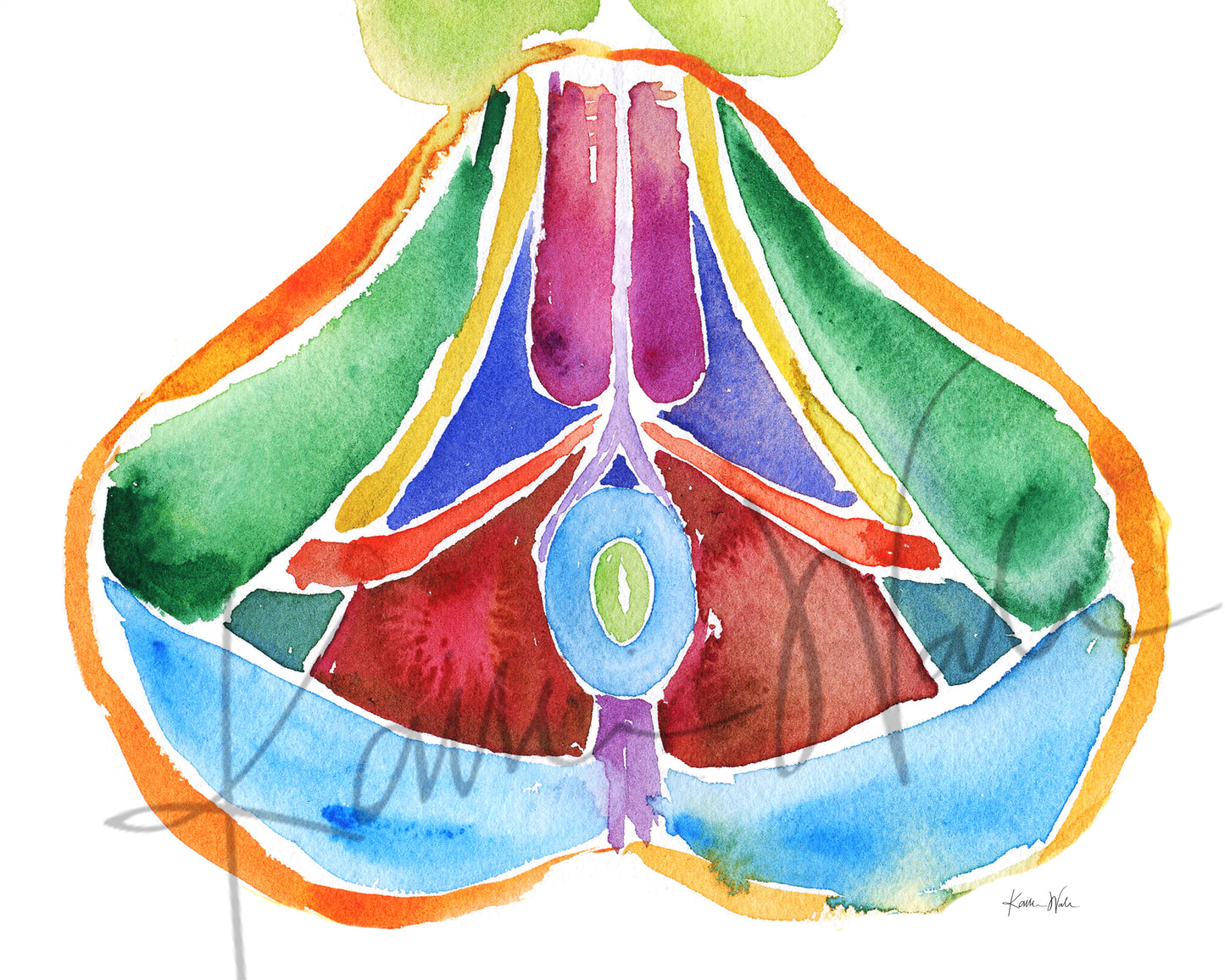Male Pelvic Floor Watercolor Print – Lyon Road Art