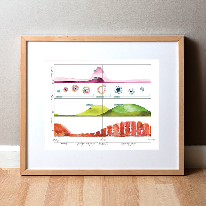 Menses Cycle II Watercolor Art Print – Lyon Road Art