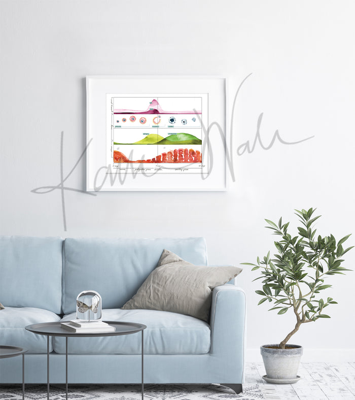 Menses Cycle II Watercolor Art Print – Lyon Road Art
