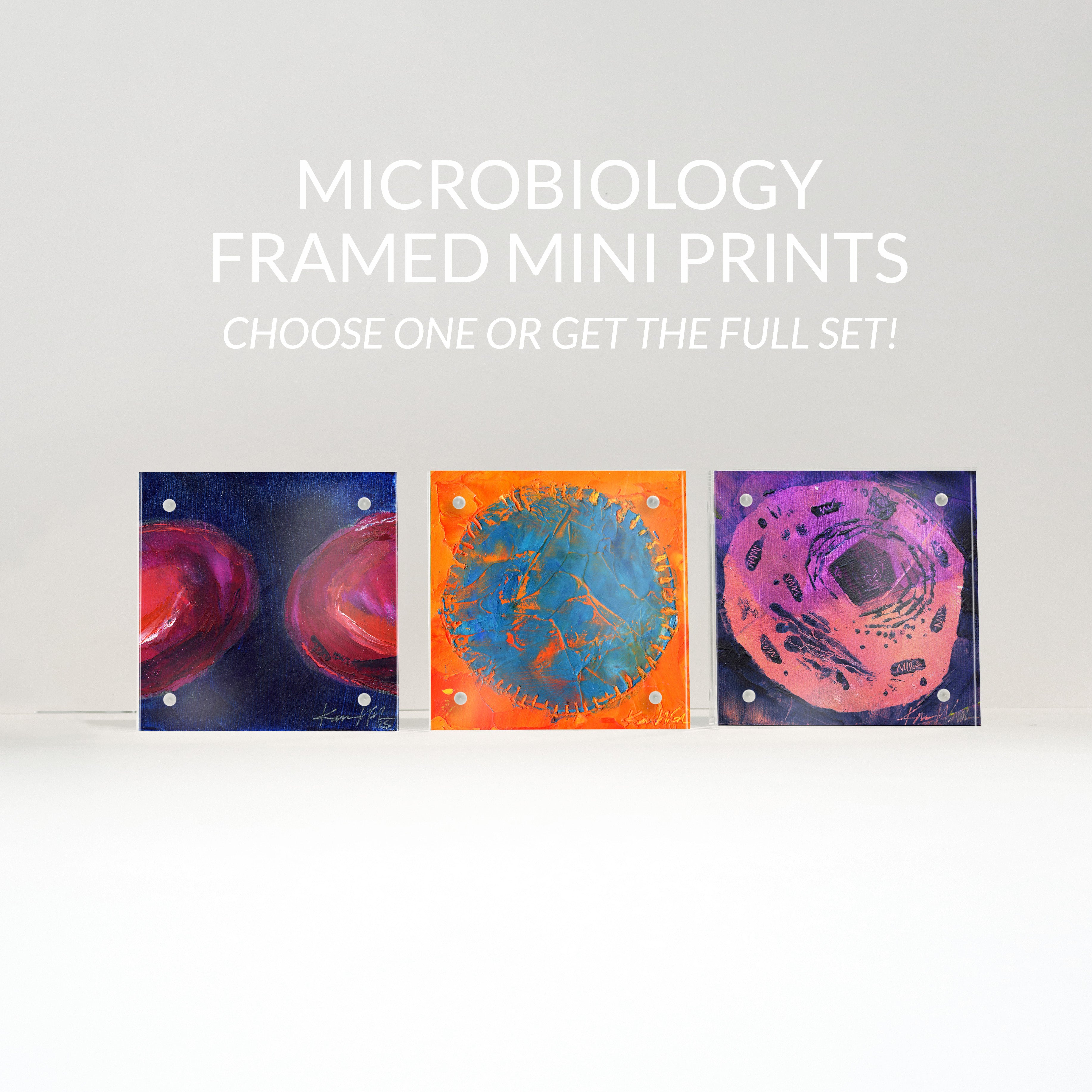 Microbiology Desktop Anatomy Art - Acrylic Framed Mini Print – Lyon ...