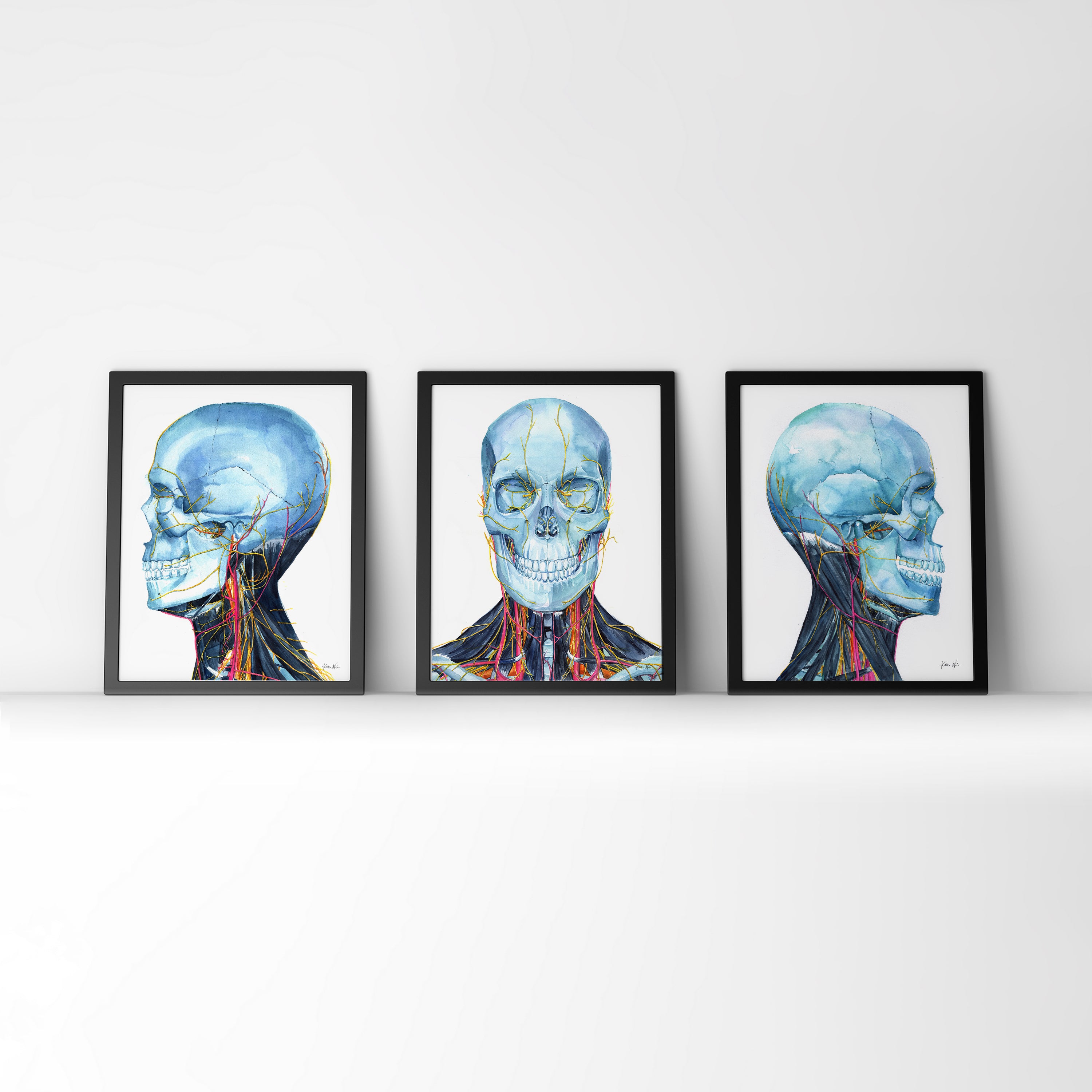 Skull Bones Watercolor Print Set | Neurosurgeon Gift | Skull Art – Lyon ...