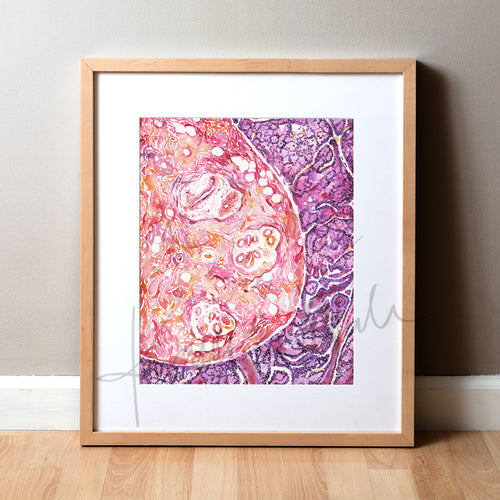 Breast Histology Watercolor Print – Lyon Road Art