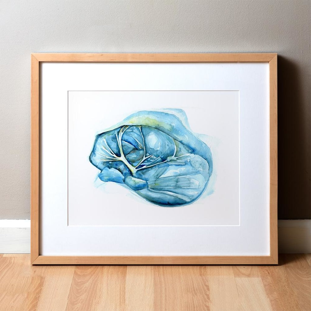 Facial Nerve Dissection Watercolor Print – Lyon Road Art