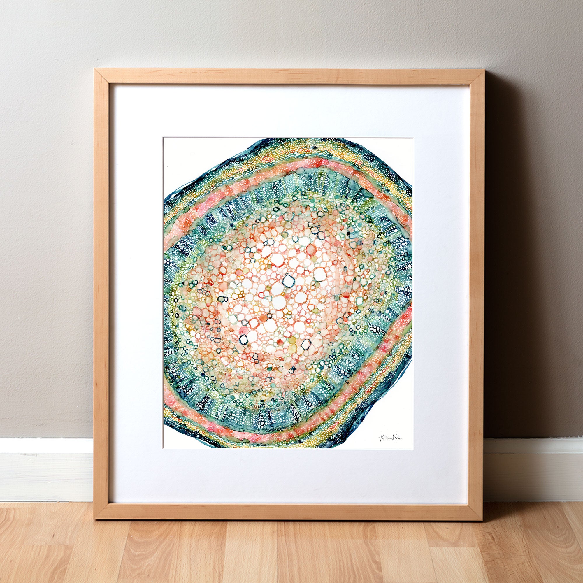 Plant Leaf Stem Histology Watercolor Print - Plant Anatomy - Leaf Art ...