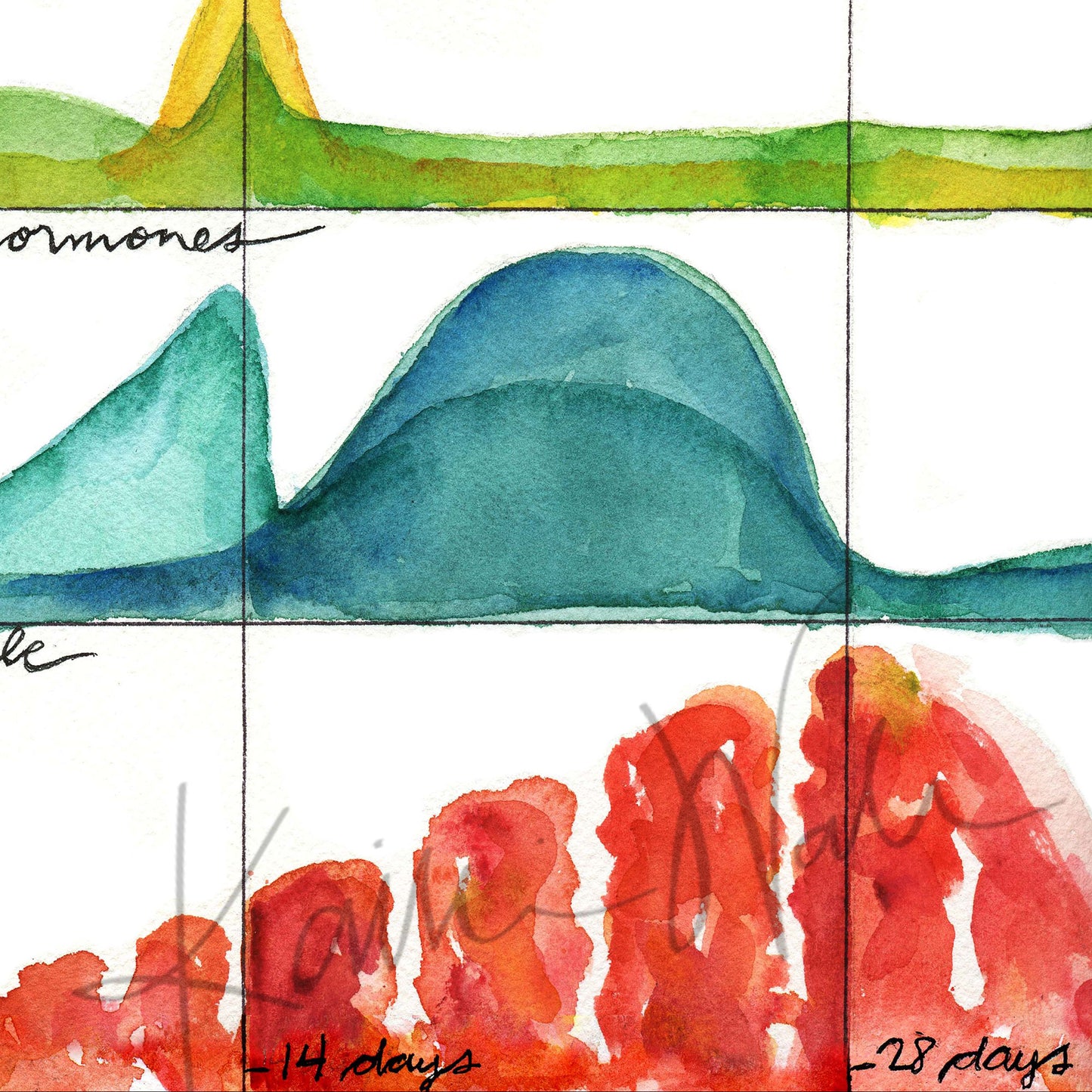 Menses Cycle Watercolor Art Print – Lyon Road Art