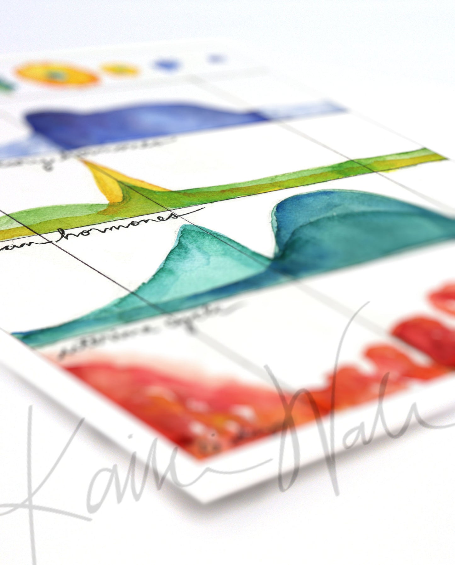 Menses Cycle Watercolor Art Print – Lyon Road Art