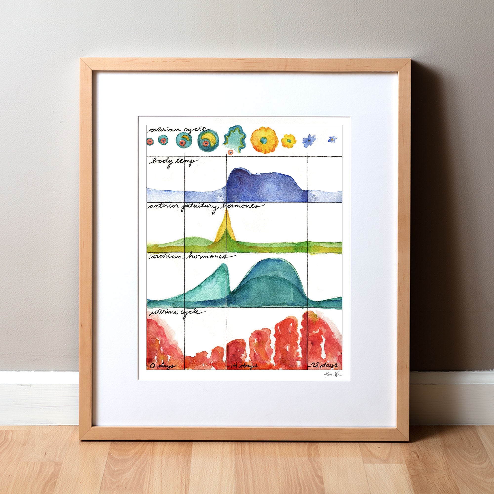 Menses Cycle Watercolor Art Print – Lyon Road Art