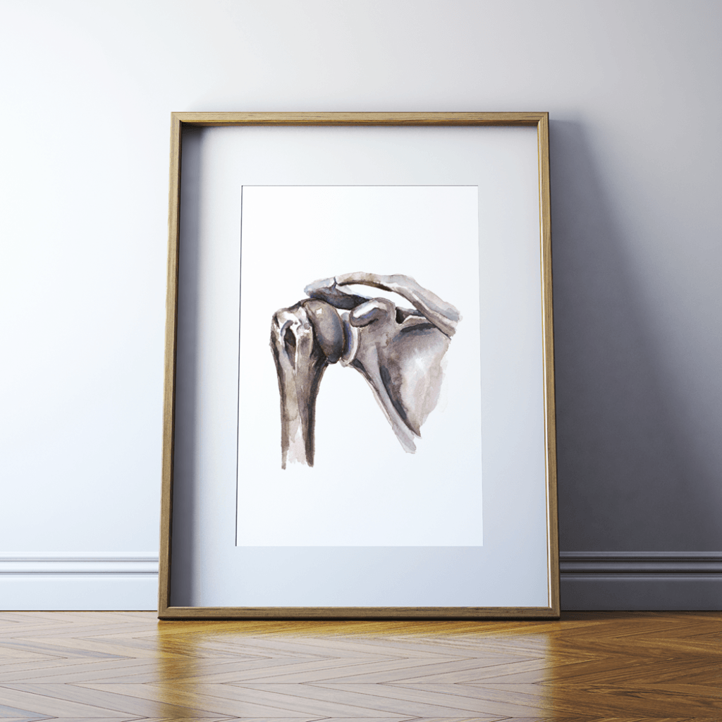 Shoulder Joint Anatomy Watercolor Print – Lyon Road Art
