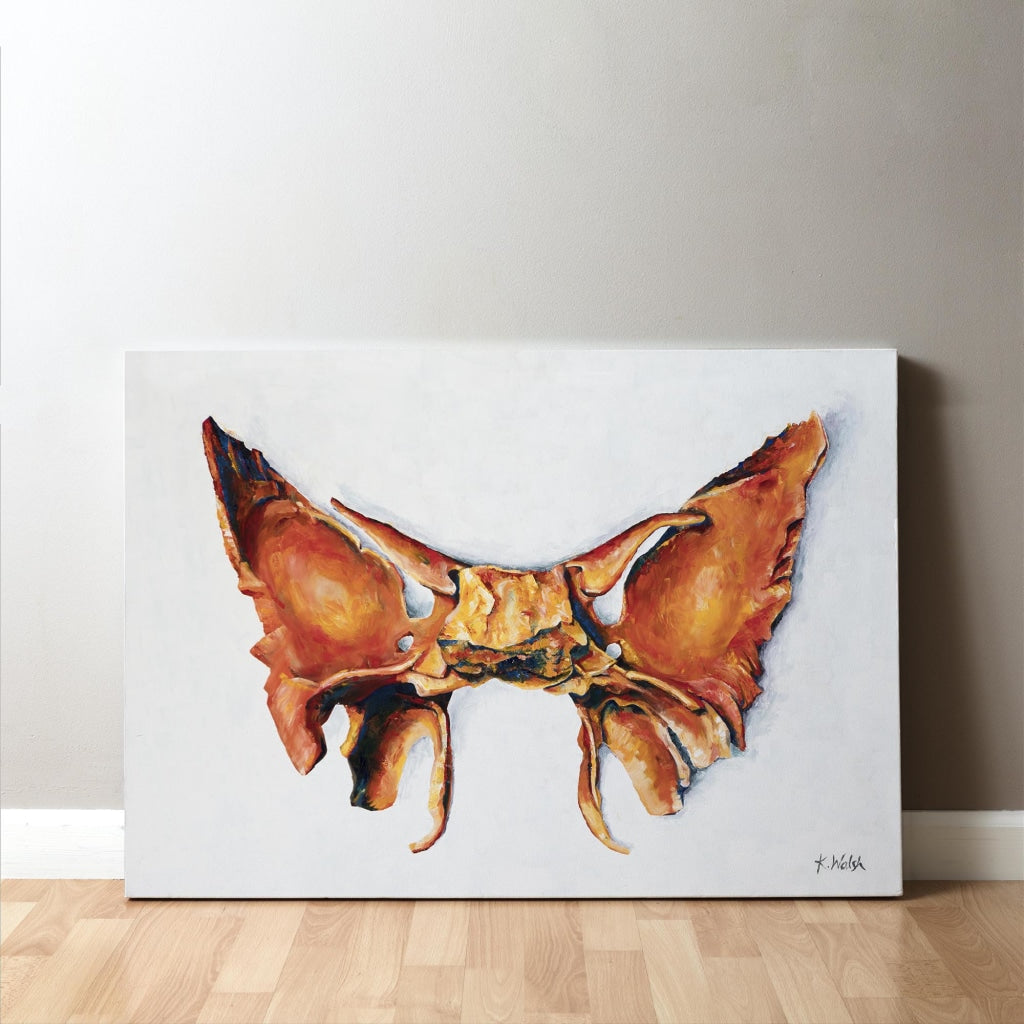 Sphenoid Canvas Print – Lyon Road Art