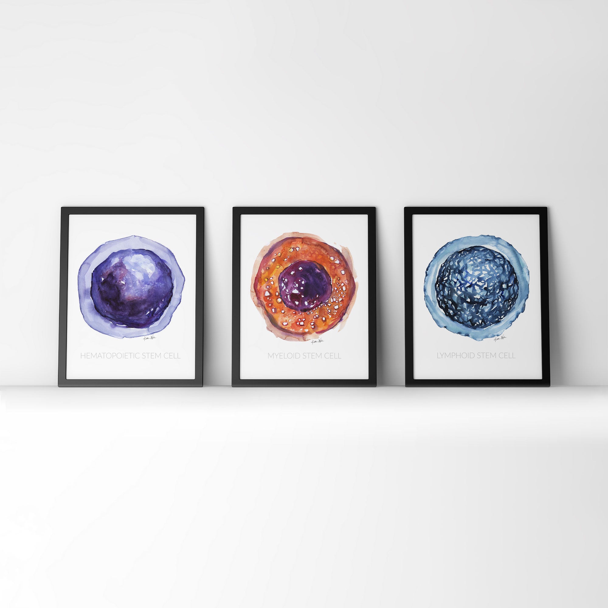 Stem Cells Watercolor Print Set - Stem Cell Art | 15% OFF – Lyon Road Art