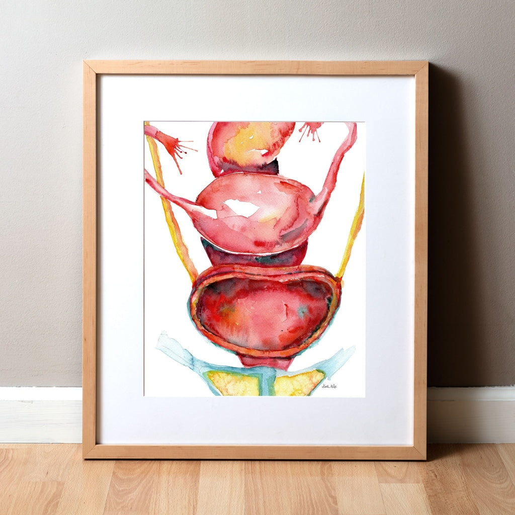Female Pelvic Anatomy Stack Watercolor Print – Lyon Road Art